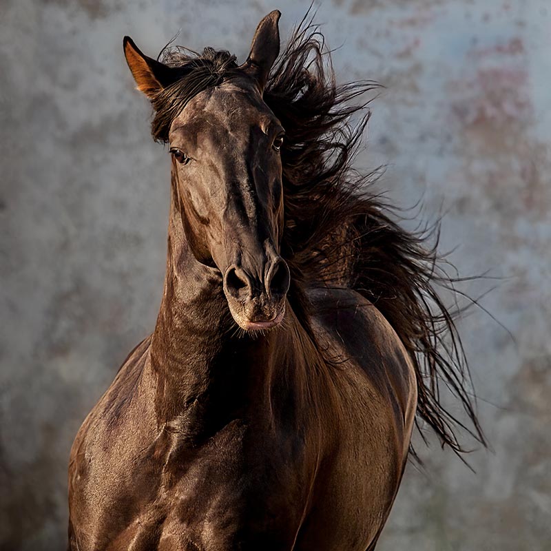 Our Artists | Marblehead Arts Association