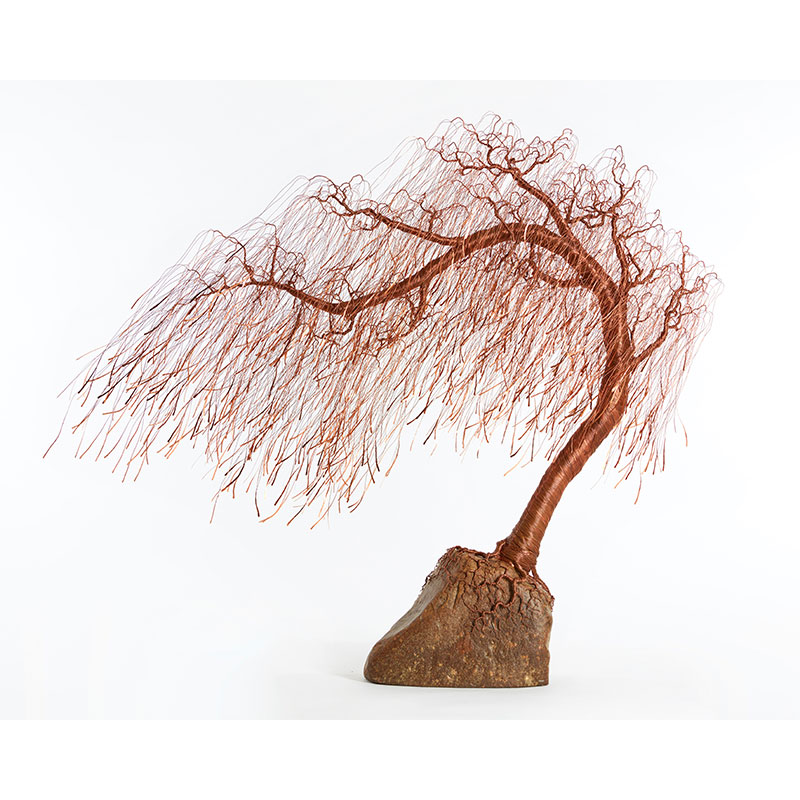 Ryan Kelley | Marblehead Arts Association