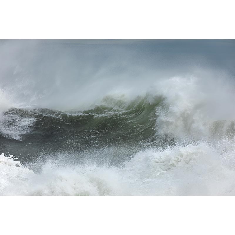 Law Hamilton | Marblehead Arts Association